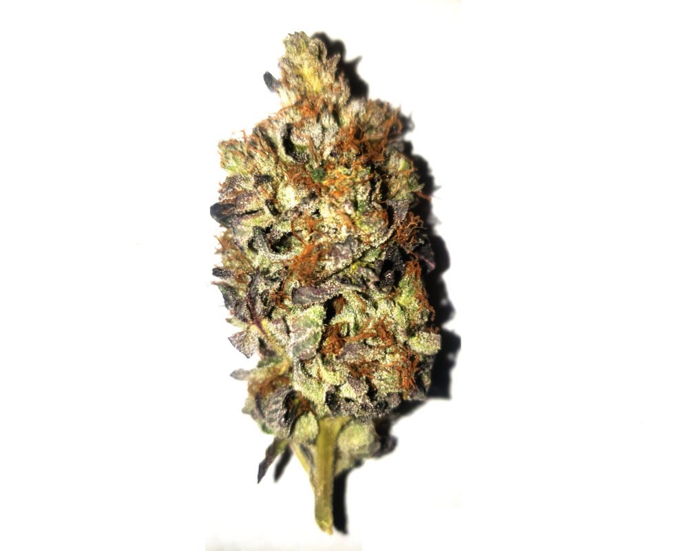 Tom Ford Strain- buy weed online - White Rhino Extracts